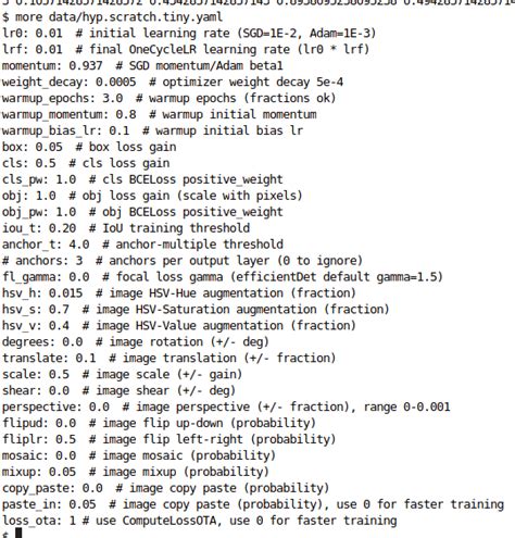 Images Augmented But Bounding Boxes Not In Train Batch Issue WongKinYiu Yolov