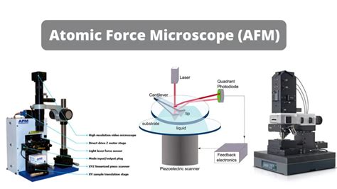 Atomic Force Microscopy About Tribology