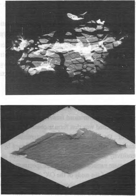 X Ray Angular Scanning Topography Patterns A Single Crystal Grown From Download Scientific