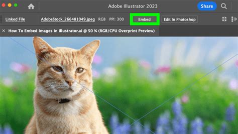 5 Easy Ways To Embed Images In Adobe Illustrator