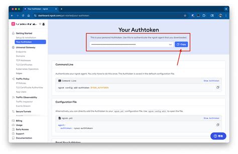 Guide To Configuring Ngrok Reverse Proxy Service In Servbay Servbay