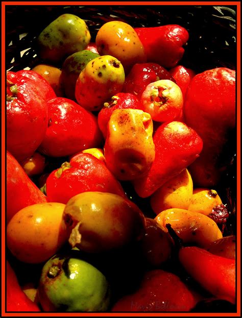 Pumarosa Fruit In English