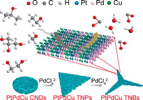 Ultrathin And Porous 2d Ptpdcu Nanoalloys As High Performance Multifunctional Electrocatalysts