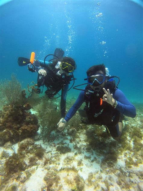 Tours Buceo Cancun No Necesitas Saber Nadar Para Poder Bucear Ya Que El Equipo Está Diseñado