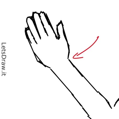 How To Draw Wrist 6uhhnucu6 Png LetsDrawIt