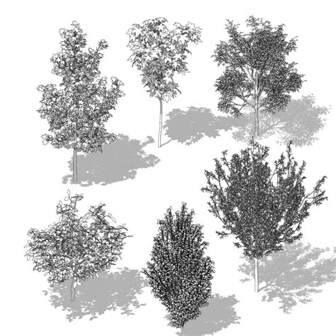 6 European Revit Tree Families Pack Scalable And Customizable