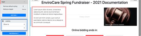 Website Element Visibility Auctria