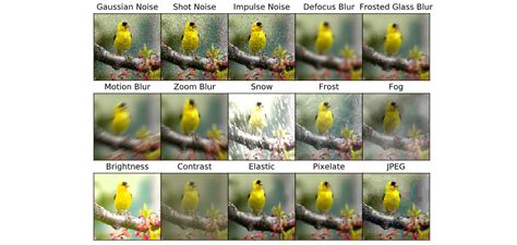📦️ Tent Fully Test Time Adaptation By Entropy Minimization