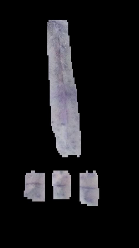 example of a final output image from the segmentation model download