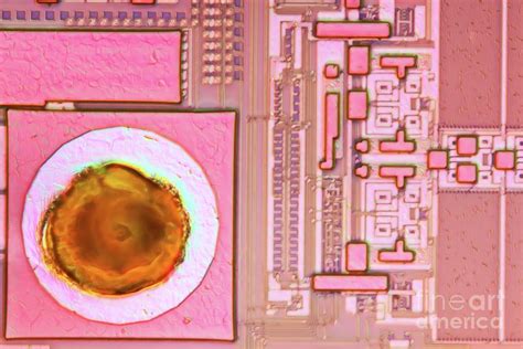 Smartphone Mems Microphone Photograph By Gerd Guenther Science Photo Library Fine Art America