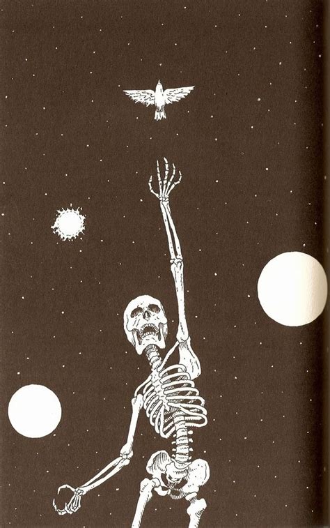 34 Best Skeleton References Images On Pinterest Bones Human Anatomy And Skulls