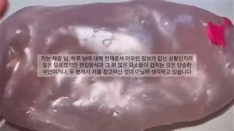 소랑 채랑 하루 동일인물 의심 공론화에 관하여 해명합니다 소랑 본인입니다 공론화액괴 Youtube