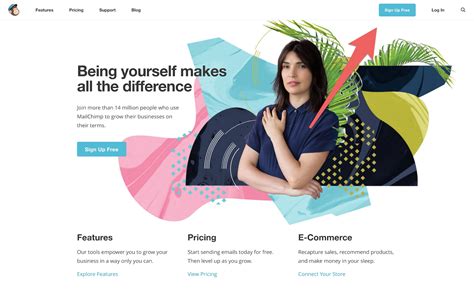 the complete mailchimp tutorial from beginners to experts