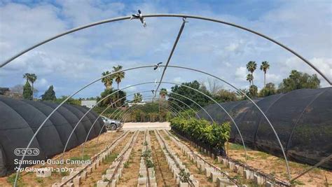 קשתות למנהרות קשתות 6 מטר 1 צול