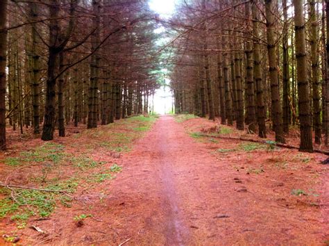 The Journey Is The Reward Fanshawe Conservation Area And