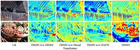 Dynamic Structure Aware Modulation Network For Underwater Image Super Resolution