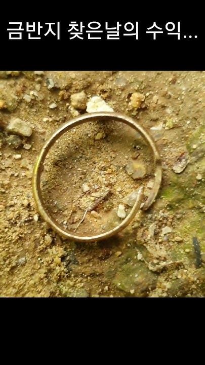 가짜금반지를 찾은날의 수익 금속탐지기 Youtube
