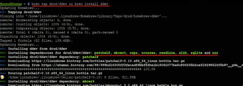 How To Set Up Shopware 5 Project Using Ddev Local System