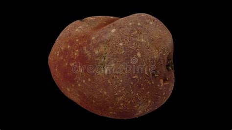 3d Render Of Potato Model Rotate On Green Screen Stock Video Video Of