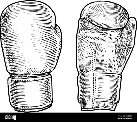 Boxing Equipment Drawing At Brenda Gilland Blog