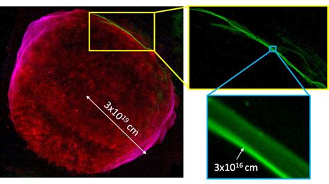 plasma heating and particle acceleration in collisionless shocks