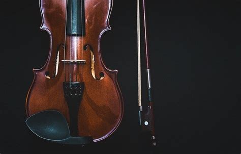 Viola Vs Violin Key Differences Between The Two Instruments