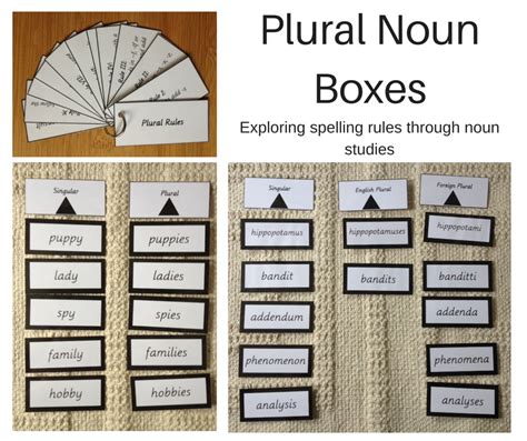 Elementary Observations Plural Nouns