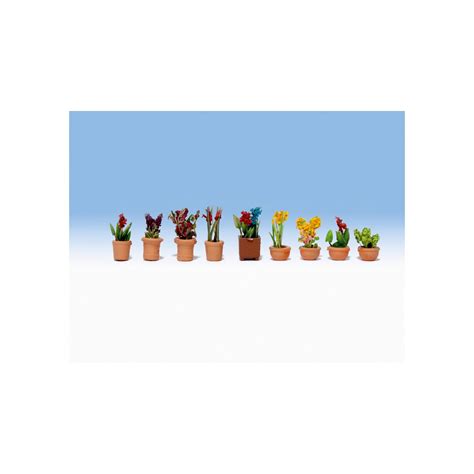 Noch 14080 Dísznövények Kis Virág Cserépben