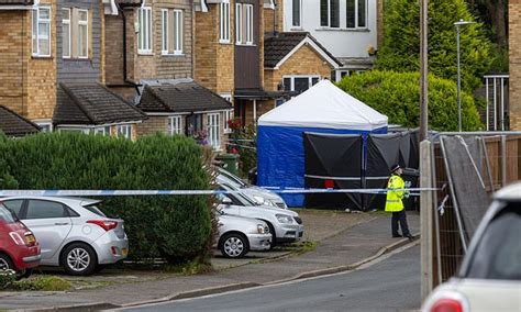 Tom Cotterill All Their Latest Coverage Daily Mail Online