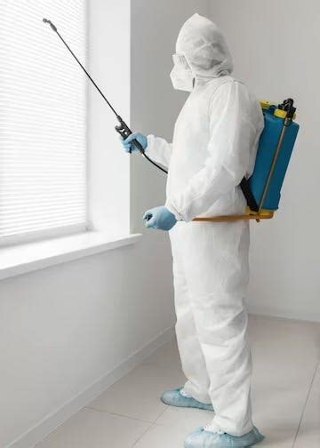 Here Are Some Of The Reasons Why Pest Control Is An Important Part Of