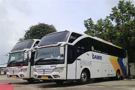 Foto Daftar Bus Jakarta Surabaya Beserta Harga Dan Pilihan Kelasnya