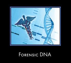 Forensic Dna Analysis
