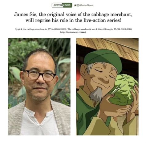 My Cabbages Album On Imgur