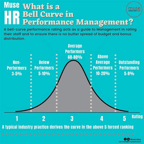 Muse Hr What Is A Bell Curve In Performance Management