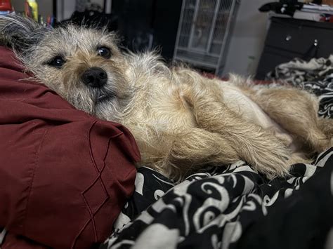 I Forgot The Timbits Album On Imgur