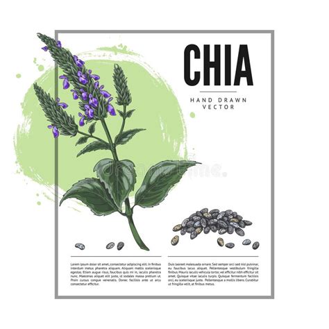Hand Drawing Label Ilustraciones Stock Vectores Y Clipart 423736