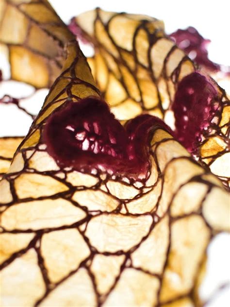 Bacterial Brickbats Knit Textile Collection Sets Bacterial Cellulose As