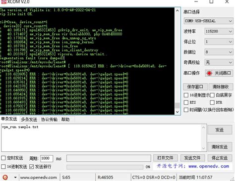 V853编译的vpmrun Sampletxt出现segmentation Fault怎么办呢？ 全志在线开发者论坛