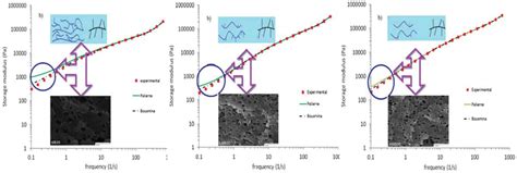 Effect Of Polyethylene Molecular Architecture On The Dynamic Viscoelastic Behavior Of