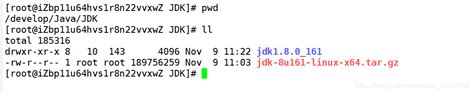 centos 配置jdk，添加环境变量 etc profile和 etc profile d centos profile csdn博客