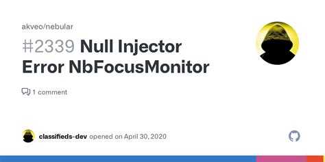 Null Injector Error NbFocusMonitor Issue Akveo Nebular GitHub