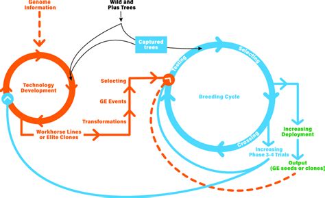 A Generalized Approach For Integrating Genetic Engineering Ge With