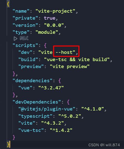 使用vite创建vue3项目时，如何展示本机局域网vite 创建的vue项目启动后怎么看network的地址 Csdn博客