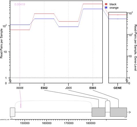 What A Novel Splice Junction Means