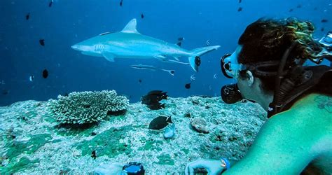 Scuba Diving The Maldives At Cinnamon Ellaidhoo Stoked For Travel