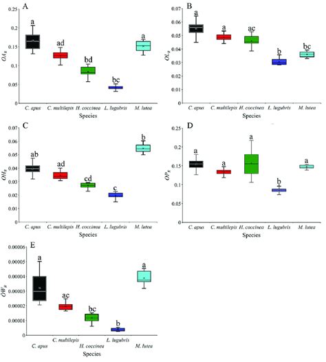 Boxplots Maximum Minimum Upper And Lower Quartiles For The Otolith