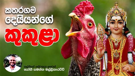 කතරගම දෙවියන්ගේ කුකුළා Youtube