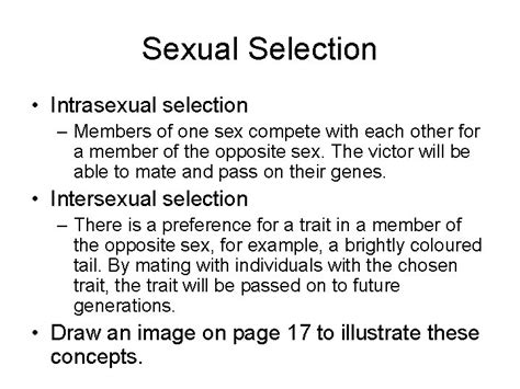 The Relationship Between Sexual Selection And Human Reproductive