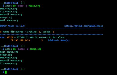 Amass Mapping Attack Surface Automatically
