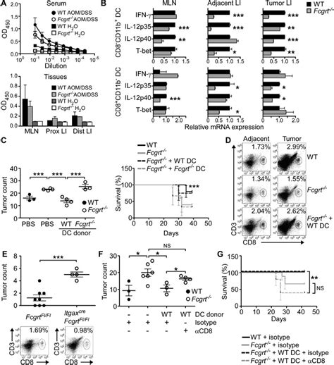 Figure 3 From Neonatal Fc Receptor Expression In Dendritic Cells Mediates Protective Immunity